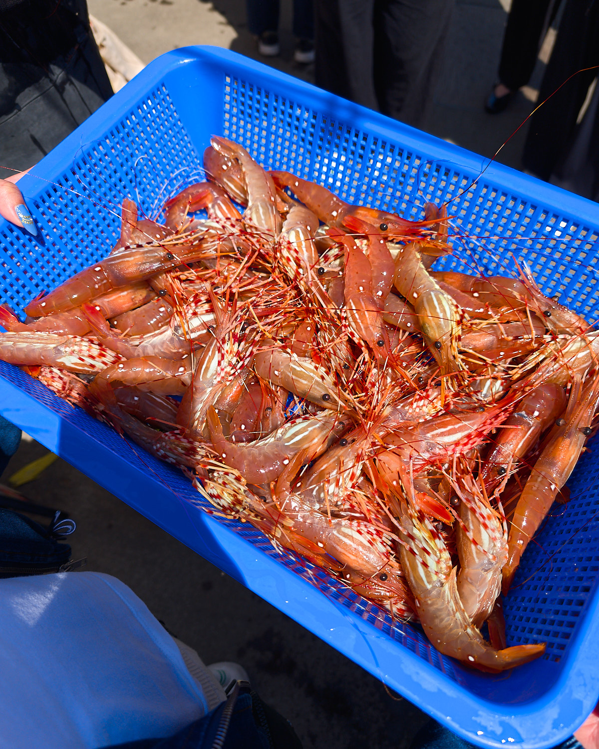 Where to Eat and Celebrate During Steveston’s Spot Prawn Season - Hello ...
